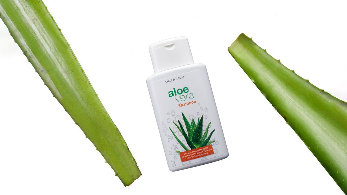 Aloe Vera Shampoo | Queen Essentials SG